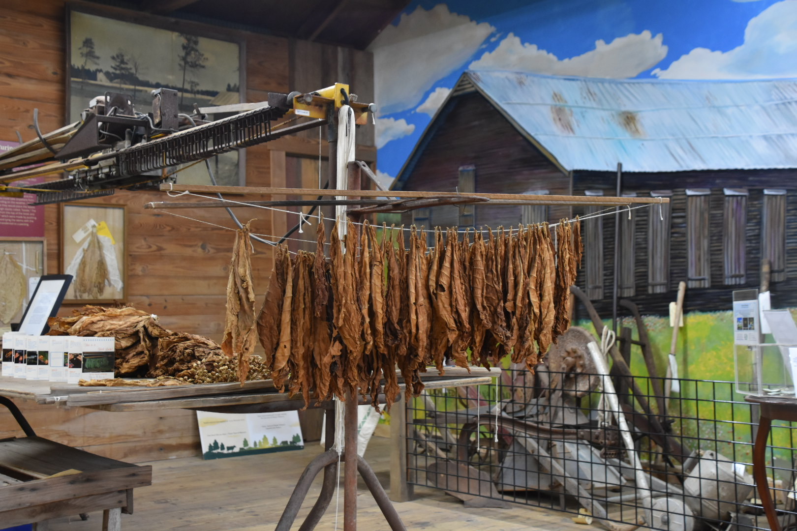 Cigar Day returned to Havana last weekend – The Chattahoochee News ...